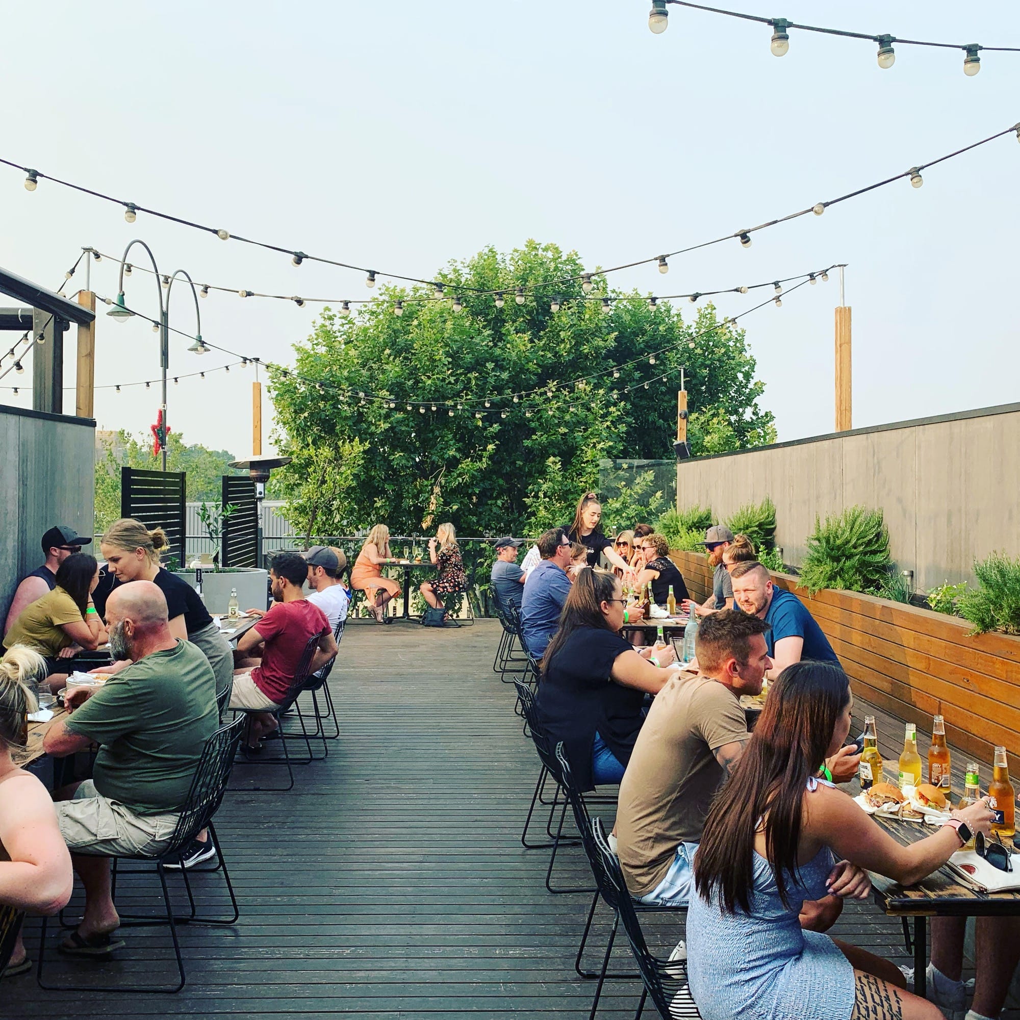 Momo Menus - Momo Traralgon